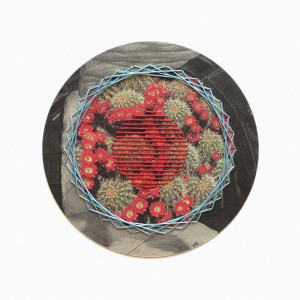 Artist: Shaun Kardinal – Flash of the Hand