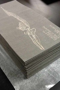 September // Book Artist of the Month: Michelle Ray – Flash of the Hand