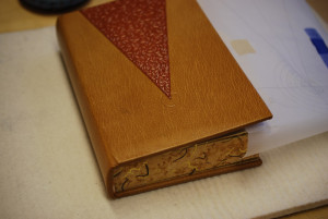 leather binding – Flash of the Hand