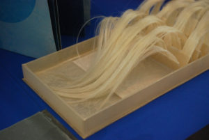 My Trip to Codex – Flash of the Hand