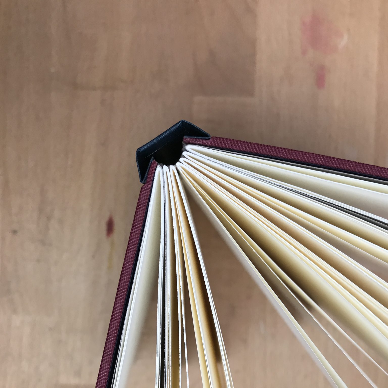 New Year – New Workshops // 2023 Winter/Spring Workshops – Flash of the ...